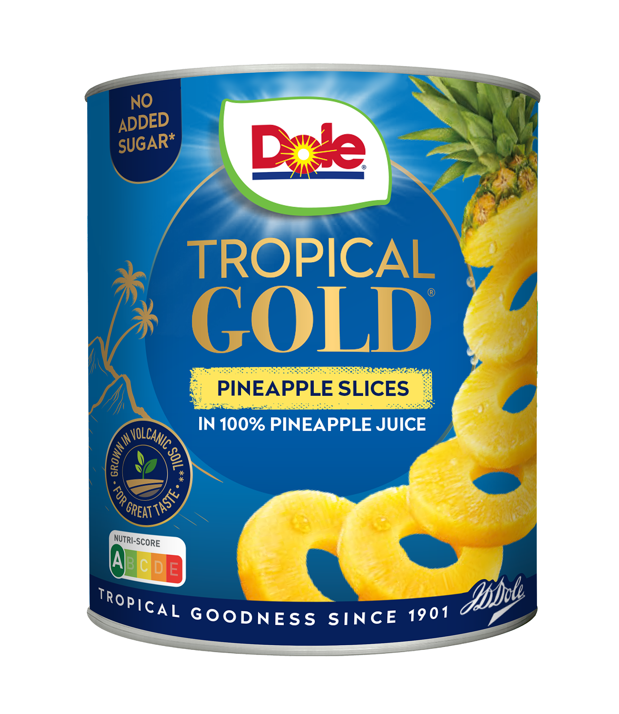 DOLE® TROPICAL GOLD ANANAS EN TRANCHES DANS 100% JUS D’ANANAS - 567g ...