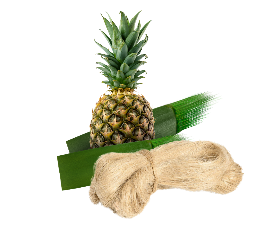 Pineapple Leaf Fiber (PALF) - Dole Specialty Ingredients